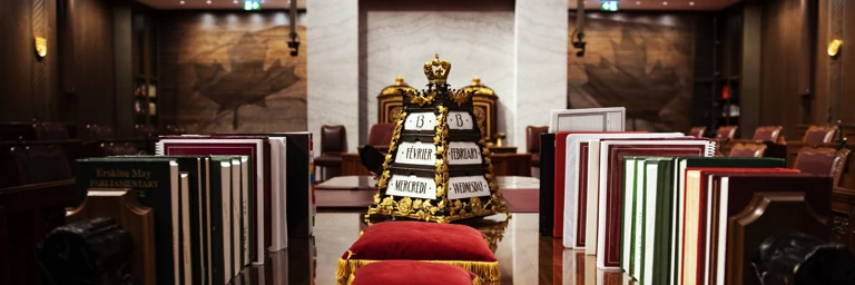 Activities in the Chamber