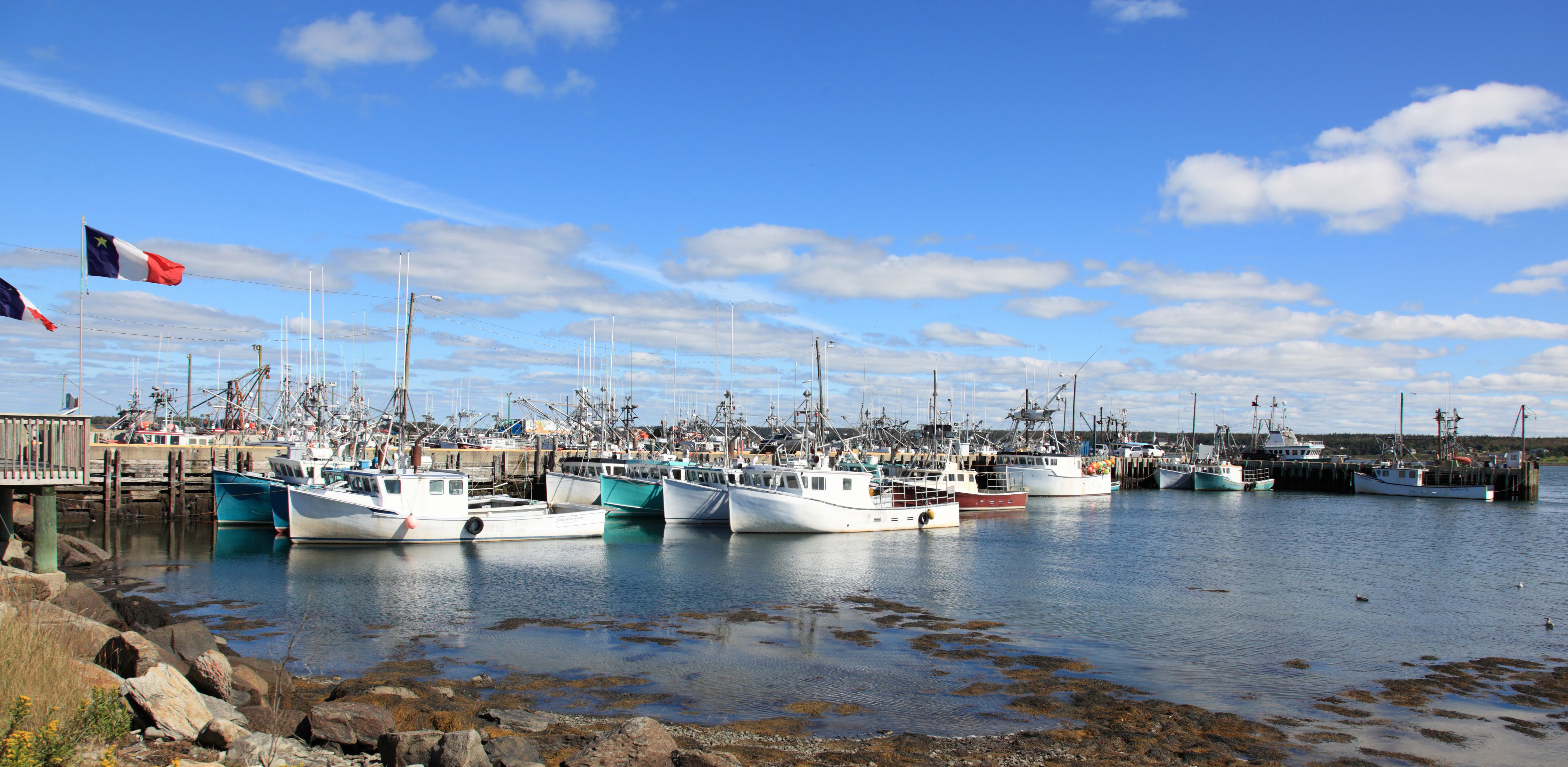 Senator Allister Surette Interventions in the Senate Chamber