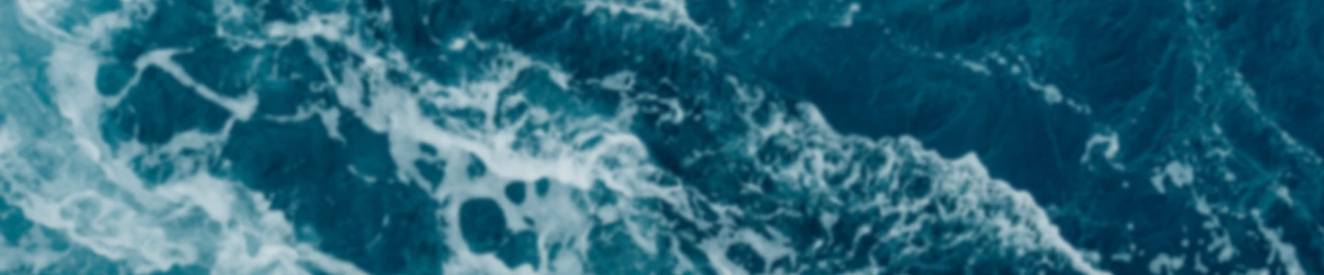 Carbon removal, from air to sea: Canada, a leader in restoring oceans ...